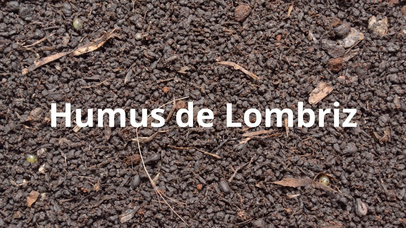 Humus de lombriz, nuestro aliado en tierras hostiles - Huerto en casa