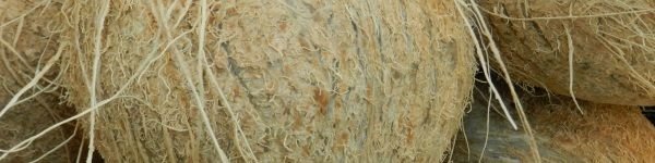 Fibra de coco ¿Que es y Como se utiliza?