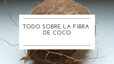 Todo sobre la Fibra de Coco
